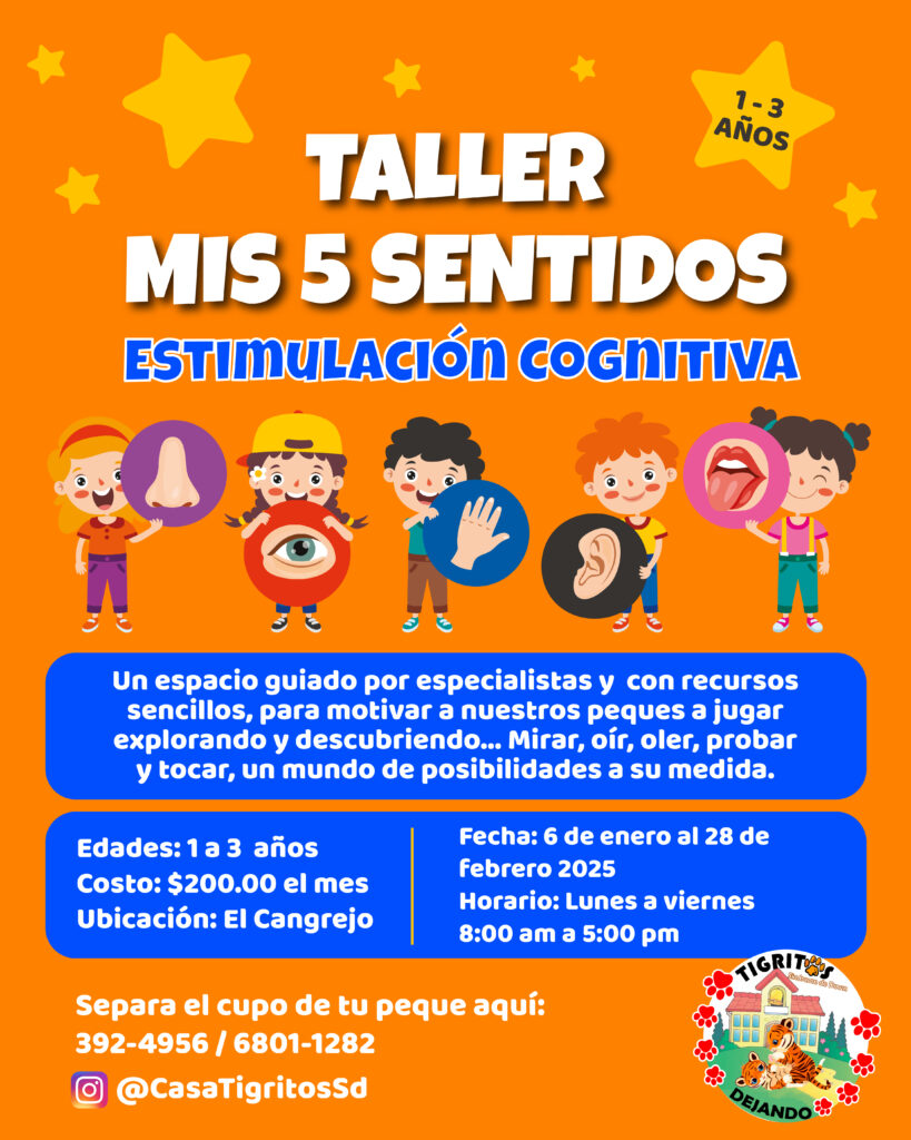 Taller Mis 5 Sentidos / Casa Tigritos - Cursos y Actividades